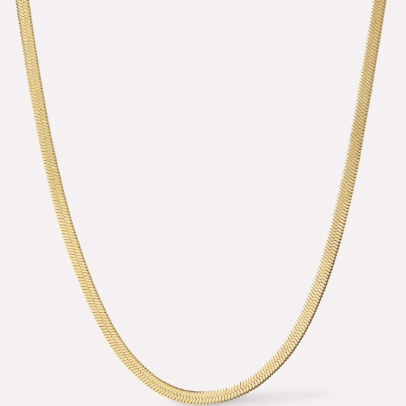Ana Luisa | Jewelry | Nwt Ana Luisa Ina Herringbone Chain Necklace 4k ...